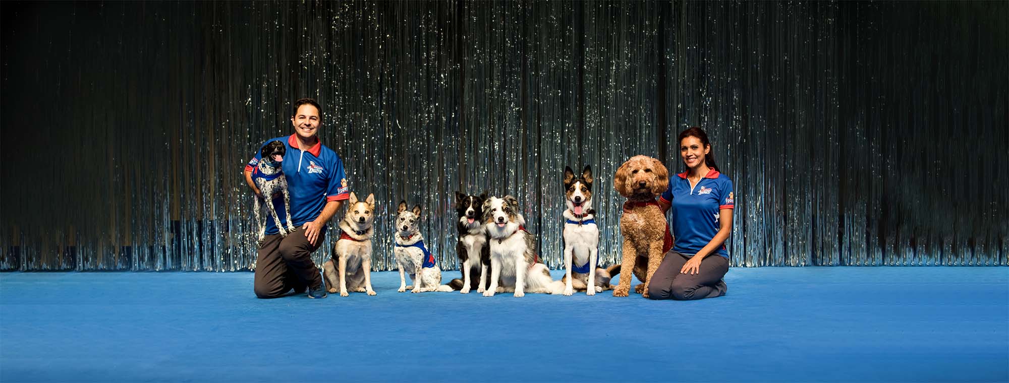 The Perondi's Stunt Dog Experience - Kean Stage